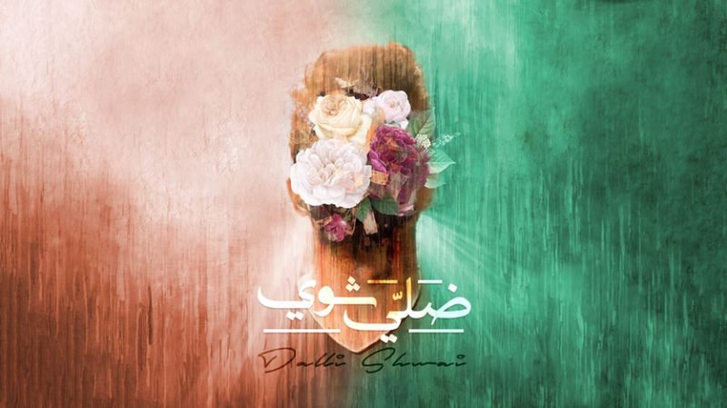 Portfolio • Mahmoud Bassam