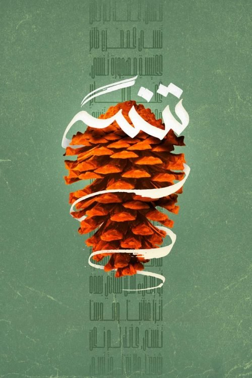 Portfolio • Mahmoud Bassam